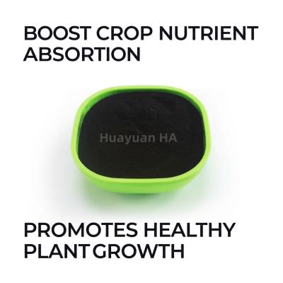 China 65% Humic Acid Granule Soil Amendment Improves Saline Soils with Slow Release for Date Palms for sale