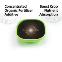 China Slow Release Humic Acid Granule Soil Conditioner with 65% Humic Acid Content for Improved Soil Structure for sale