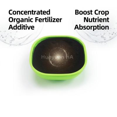 China Slow Release Humic Acid Granule Soil Conditioner with 65% Humic Acid Content for Improved Soil Structure for sale
