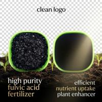 China High Purity 85% Humic Acid Granule Organic Soil Amendment Boosts Fertiliser Response for Rice and Vegetable Farms for sale