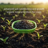 China Organic Granular Humic Acid Soil Amendment with 60% Humic Acid for Slow Release Nutrition and Improved Soil Structure for sale