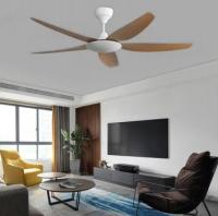 China Iron Blades Modern LED Ceiling Fan 55 Inch Ceiling Fan With Light for sale