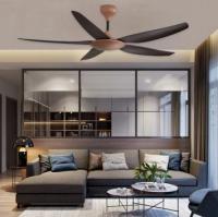 China Iron Blades Modern LED Ceiling Fan 55 Inch Ceiling Fan With Light for sale