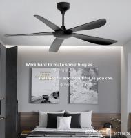China Iron Blades Modern LED Ceiling Fan 55 Inch Ceiling Fan With Light for sale