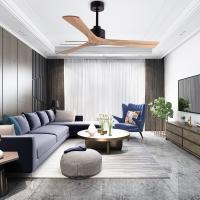 China 52 Inch Decorative Ceiling Fan With 5 Speed Remote Control for sale
