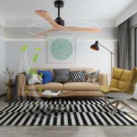 China 52 Inch Decorative Ceiling Fan With 5 Speed Remote Control for sale