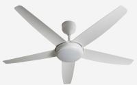 China ECO Fans 56 Inch LED Modern LED Ceiling Fan DC Motor Home Using for sale