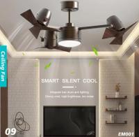 China 20W 42Inch Silent Ceiling Fans For Bedroom Eco Silent Dc Ceiling Fan for sale