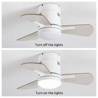 China White 24 Inch Kitchen Ceiling Fans With Light Plywood Acrylic for sale