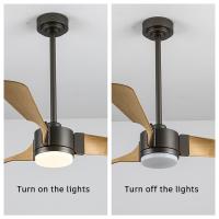 China ABS Blades 48 Inch Fan With Light Modern Living Room Fan With Light for sale