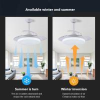 China 3 Color Adjustable Chandelier Ceiling Fan Lamp 36 Inch Remote Control Invisible Ceiling Fan With Light for sale