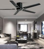 China ECO 52 Inch 5 Blade Ceiling Fan With Light For Living Rooms for sale
