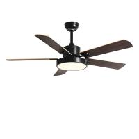 China 52 Inch Ceiling Fan With Light Modern LED Ceiling Fan 5 ABS Blades for sale