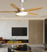 China Brown 5 ABS Blades DC Ceiling Fan Modern Ceiling Fans With Lights And Remote for sale