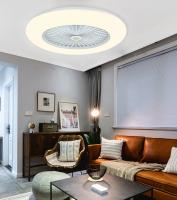 China Dimming Hanging Ceiling Fan With Light 42in Bladeless Fan Ceiling for sale