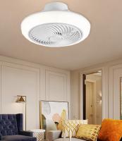 China ECO Enclose Fan Ceiling Chandelier Bladeless Ceiling Fan For Kitchen for sale