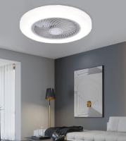 China Retractable Hanging Ceiling Fan With Light 42