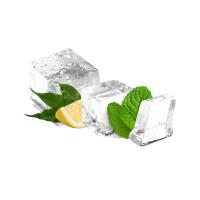 China Undercounter Type Commercial Cube Ice Machine with compact footprint and robust performance ideal for bars cafes hotels and institutional kitchens for sale