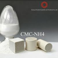 China Boost Yield, Ensure Purity, Perfect For Extrusion Molding CMC-NH4 for sale