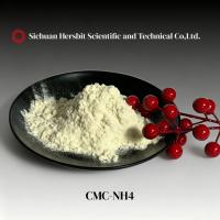 China For High-Performance SCR Catalysts: Ammonium Carboxymethyl Cellulose as Ideal Modifier CMC-NH4 for sale