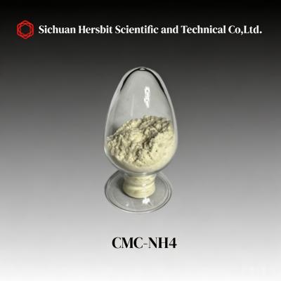 China CMC-NH4 Manufacturer | Ammonium Carboxymethyl Cellulose Supplier From China for sale