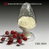 China CMC-NH4 Manufacturer | Ammonium Carboxymethyl Cellulose Supplier From China for sale