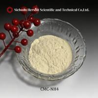 China CMC-NH4 | Ammonium Carboxymethyl Cellulose for SCR Catalyst Binder and Ceramic Applications for sale