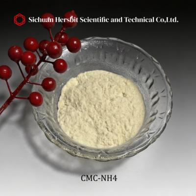 China CMC-NH4 | Ammonium Carboxymethyl Cellulose for SCR Catalyst Binder and Ceramic Applications for sale