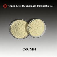China CMC-NH4 | Ammonium Carboxymethyl Cellulose for SCR Catalyst Binder and Advanced Ceramic Applications for sale