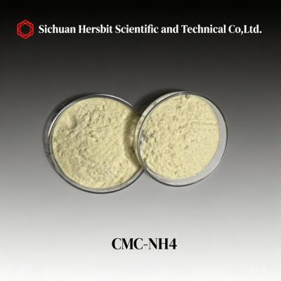 China CMC-NH4 | Ammonium Carboxymethyl Cellulose for SCR Catalyst Binder and Advanced Ceramic Applications for sale