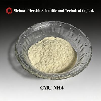 China CMC-NH4 | Ammonium Carboxymethyl Cellulose for SCR Catalyst Binder and Advanced Ceramic Applications for sale