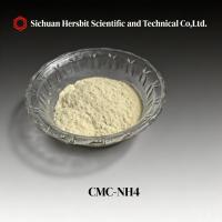 China CMC-NH4 | Ammonium Carboxymethyl Cellulose for SCR Catalyst Production and Ceramic Processing for sale