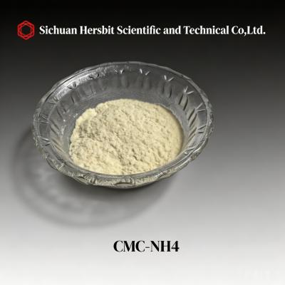 China CMC-NH4 | Ammonium Carboxymethyl Cellulose for SCR Catalyst Production and Ceramic Processing for sale