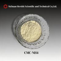 China Ceramic Grade CMC-NH₄ | High-Performance Binder for Honeycomb Ceramics & SCR Catalysts for sale