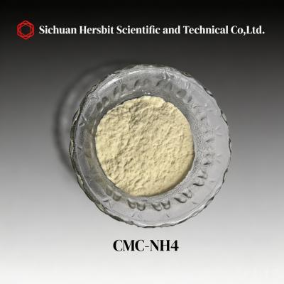China Ceramic Grade CMC-NH₄ | High-Performance Binder for Honeycomb Ceramics & SCR Catalysts for sale