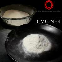 China High Purity Ammonium Carboxymethyl Cellulose CMC-NH4 Alkali-Soluble Binder for SCR Denitration Catalysts and Honeycomb Ceramics for sale