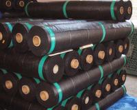 China Horticultural Ground Cover Membrane 100gsm 7x7 15x15 Mesh for sale