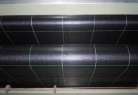 China Horticultural Ground Cover Membrane 100gsm 7x7 15x15 Mesh for sale