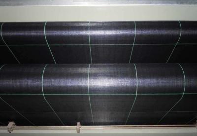 China Horticultural Ground Cover Membrane 100gsm 7x7 15x15 Mesh for sale