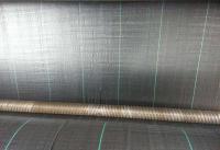 China 100g/M2 Horticultural Ground Cover for sale