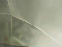 China Polyethylene Farm Plastic Supply 4 Year Clear Greenhouse Film 6 Mil Thickness for sale