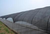 China Greenhouse Uv Treated Shade Net 30 Mesh for sale