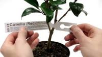 China Custom Glossy Horticultural Plant Labels Weatherproof For Flowers for sale