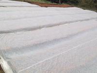 China Frost PP Non Woven Horticultural Ground Cover For Plants 10g-350g Weight for sale