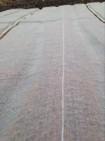 China Frost PP Non Woven Horticultural Ground Cover For Plants 10g-350g Weight for sale
