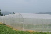 China Anti Drip 200mic Horticultural Plastic Film Plastic Greenhouse Cover for sale