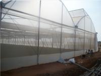 China 4m-10m Horticultural Plastic Film For Greenhouse Protective for sale