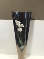 China BOPP CPP Plastic Flower Sleeves , 28micron Hot Seal Cut Flower Sleeves for sale