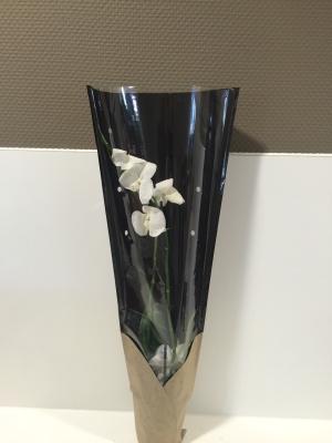 China BOPP CPP Plastic Flower Sleeves , 28micron Hot Seal Cut Flower Sleeves for sale