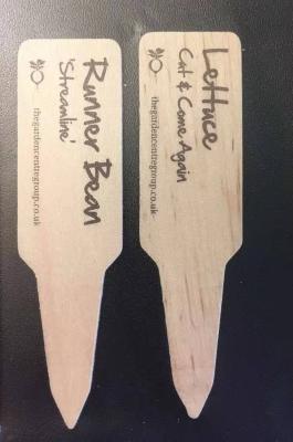 China FPS Printed Garden Tags For Plants , SGS ECO Wooden Garden Markers for sale